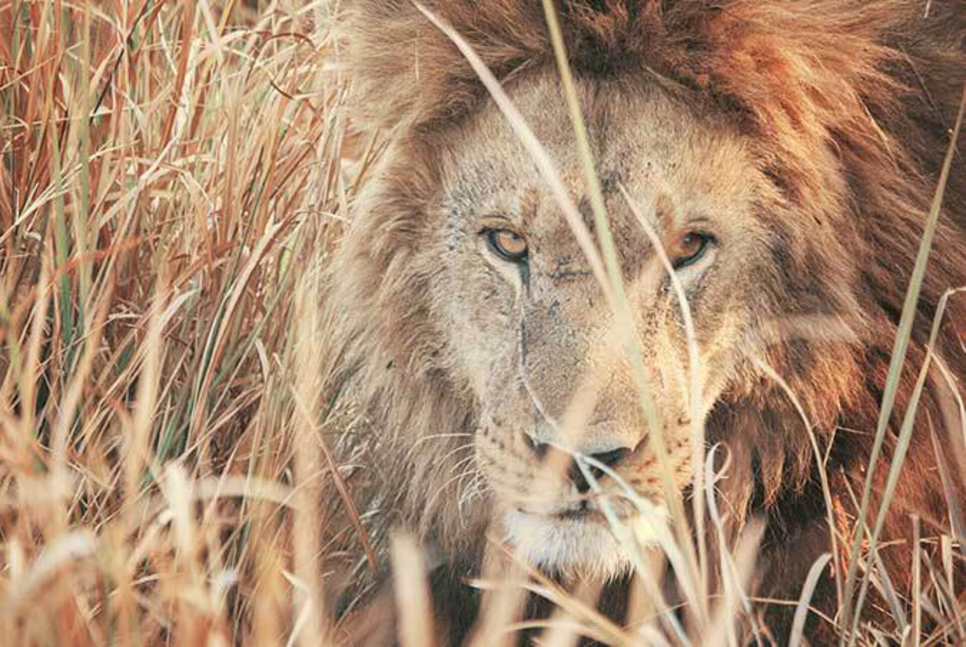 De wereld van Sofie - Een date met de minister president | Bloom